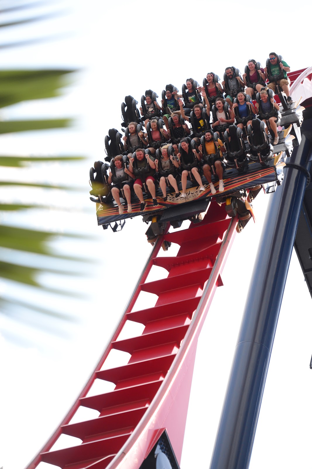 I never expected to experience so many thrilling rides at the SeaWorld ...