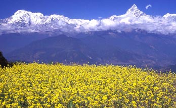 Nepali cultural: pictures of naturenepal