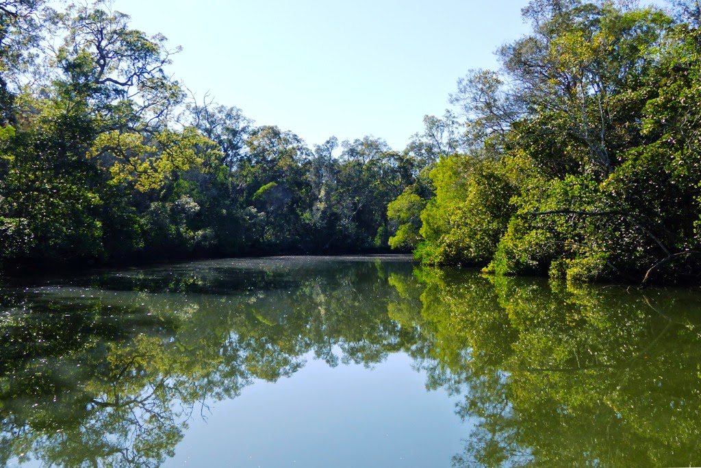 National Park Odyssey: Mooloolah River National Park, Mooloolah River ...