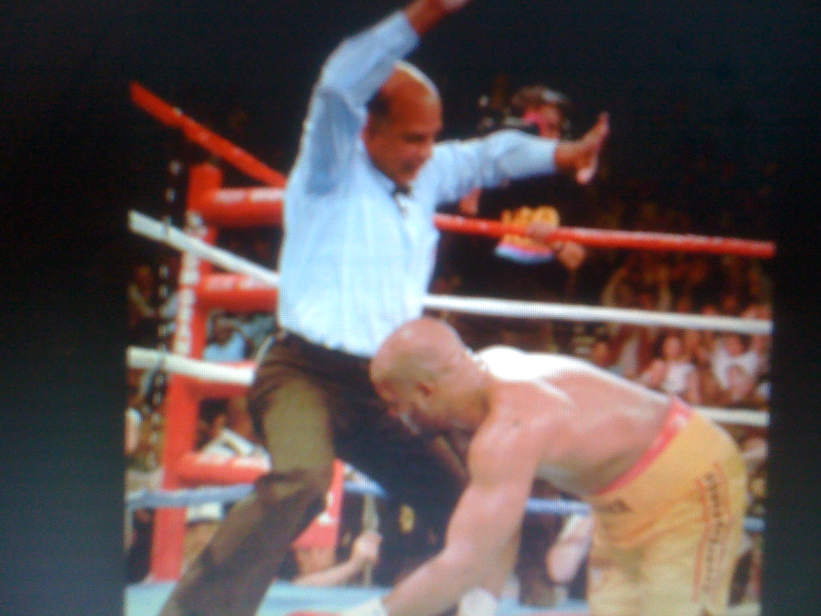 THE BLACK SOCIAL HISTORY:: BLACK SOCIAL HISTORY : AFRICAN AMERICAN OF ...