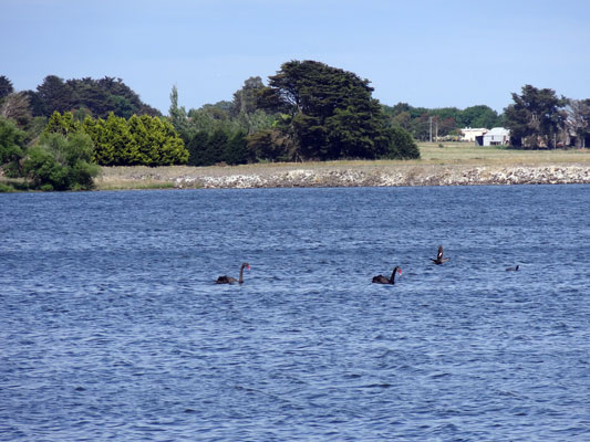 a bit of everything: Newlyn Reservoir in the Central Highlands.