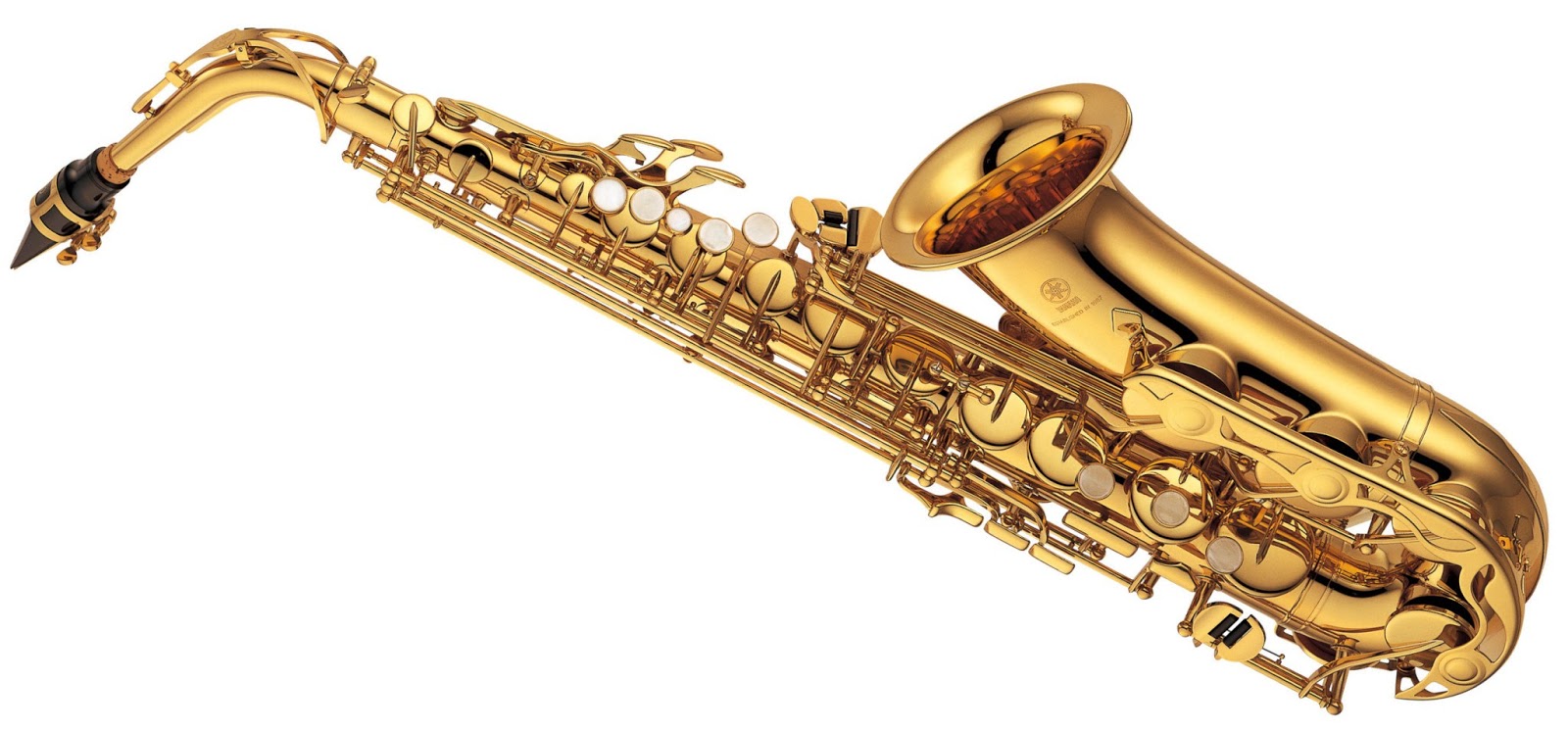 Saxophone Merupakan Jenis Instrumen Musik Membranophone at Hayley Pell blog