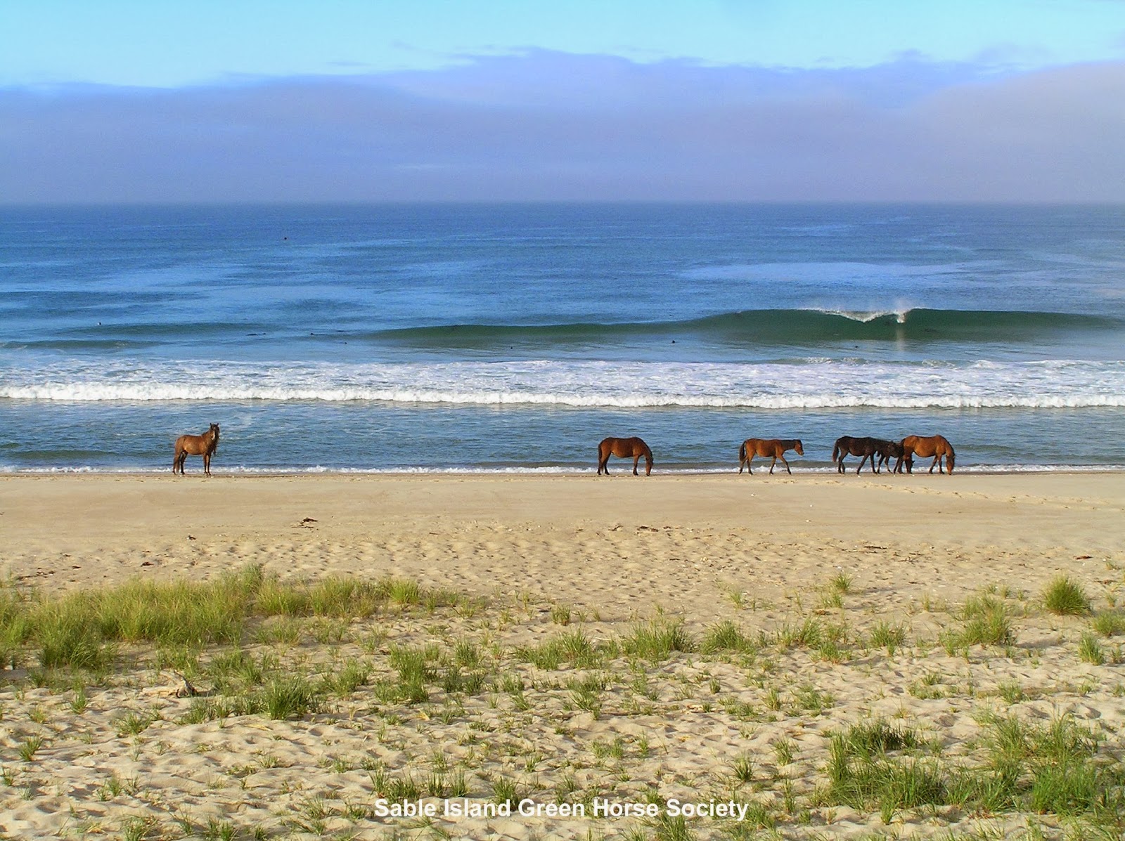 Sable Island