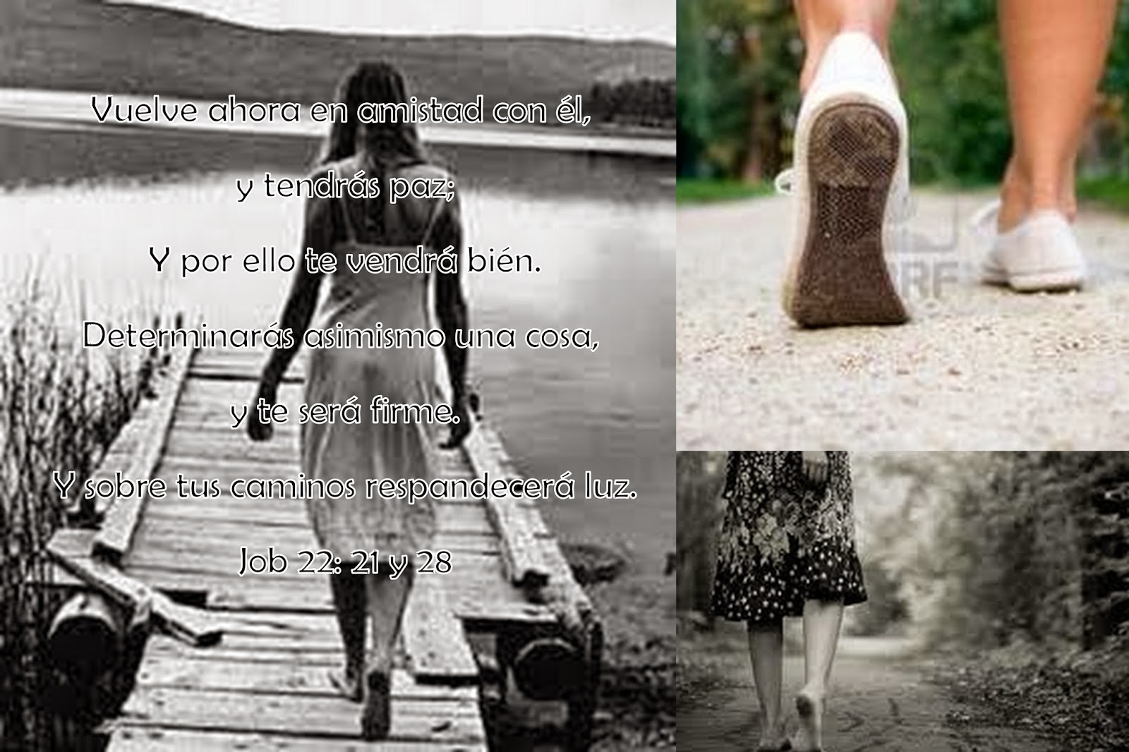 MUJERES DETERMINADAS : "DETERMINADAS A DETERMINARSE"