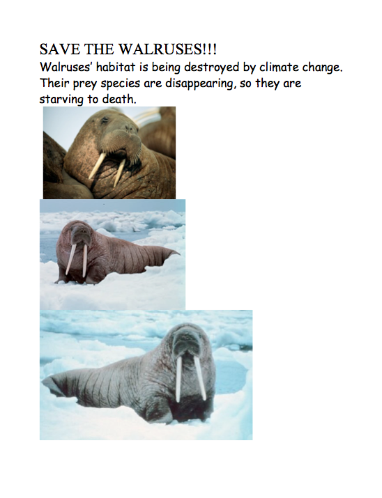 parenthropology: May 2012