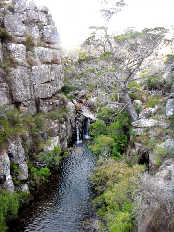 Cederberg Names: W X Y X