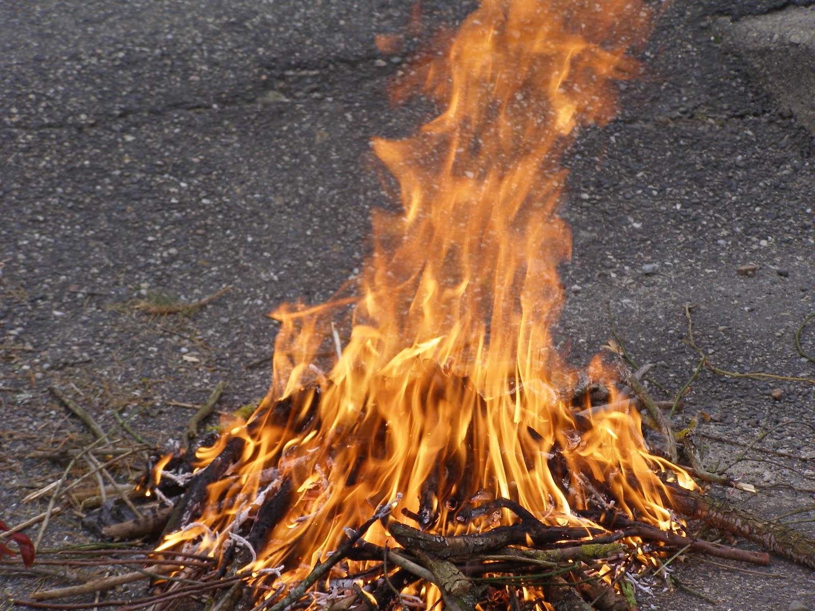 Année B - Célébration d'une veillée pascale avec les enfants du caté et ...