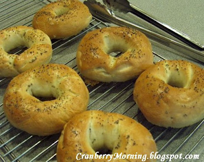 Cranberry Morning: Winter in Hodgepodge, Wisconsin