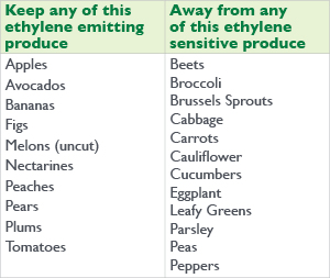 EXAMS AND ME : Ethylene
