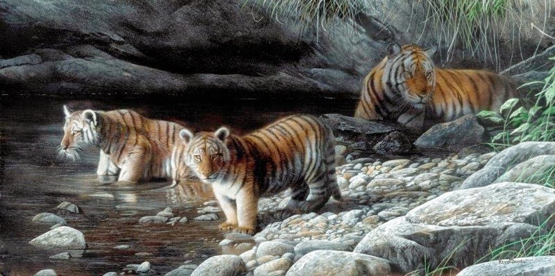 D.W.C. Animals Life - Painter Kevin Daniel - DANCE WITH COLORS