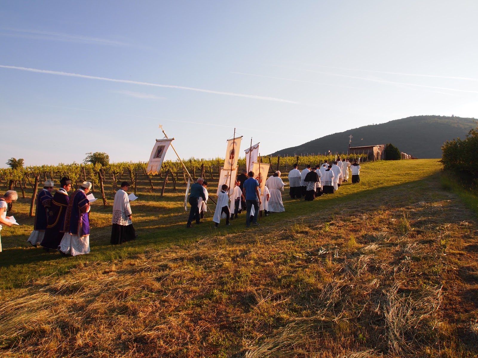 What Are Rogation Days? ~ Liturgical Arts Journal