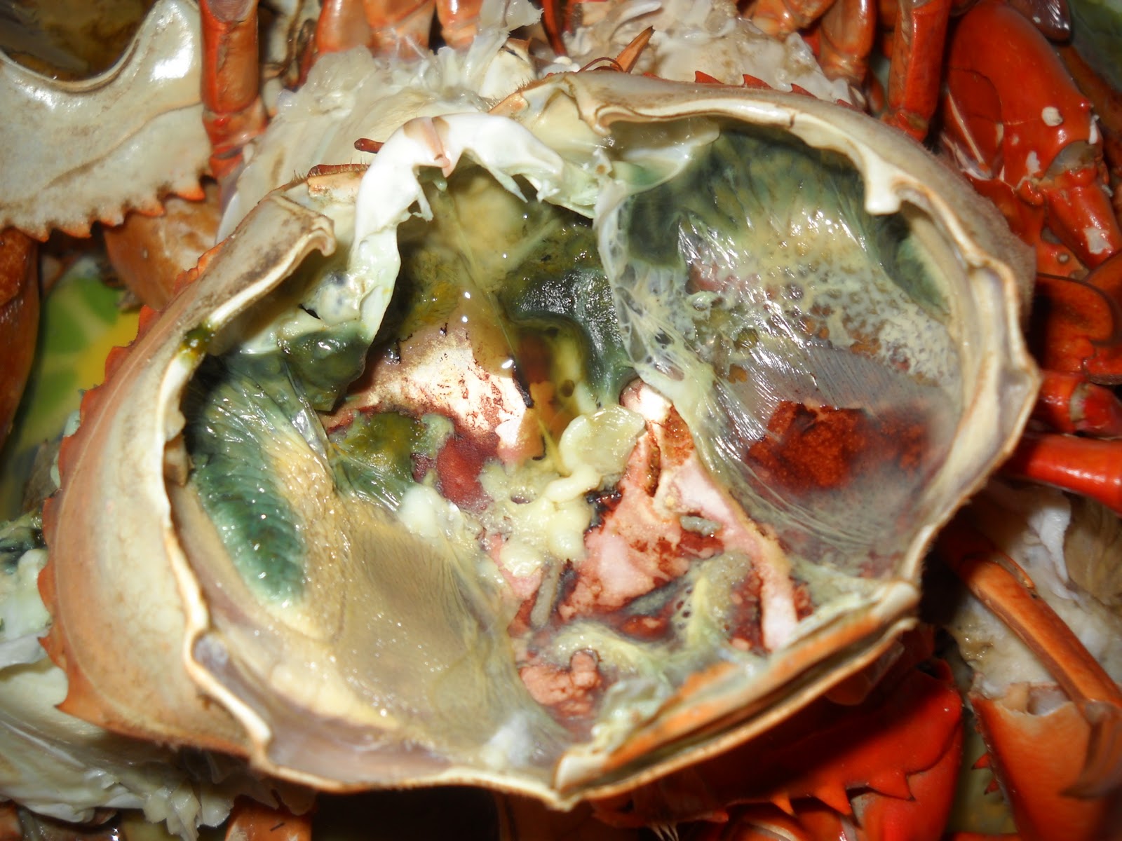 chickenking: Crab Attack