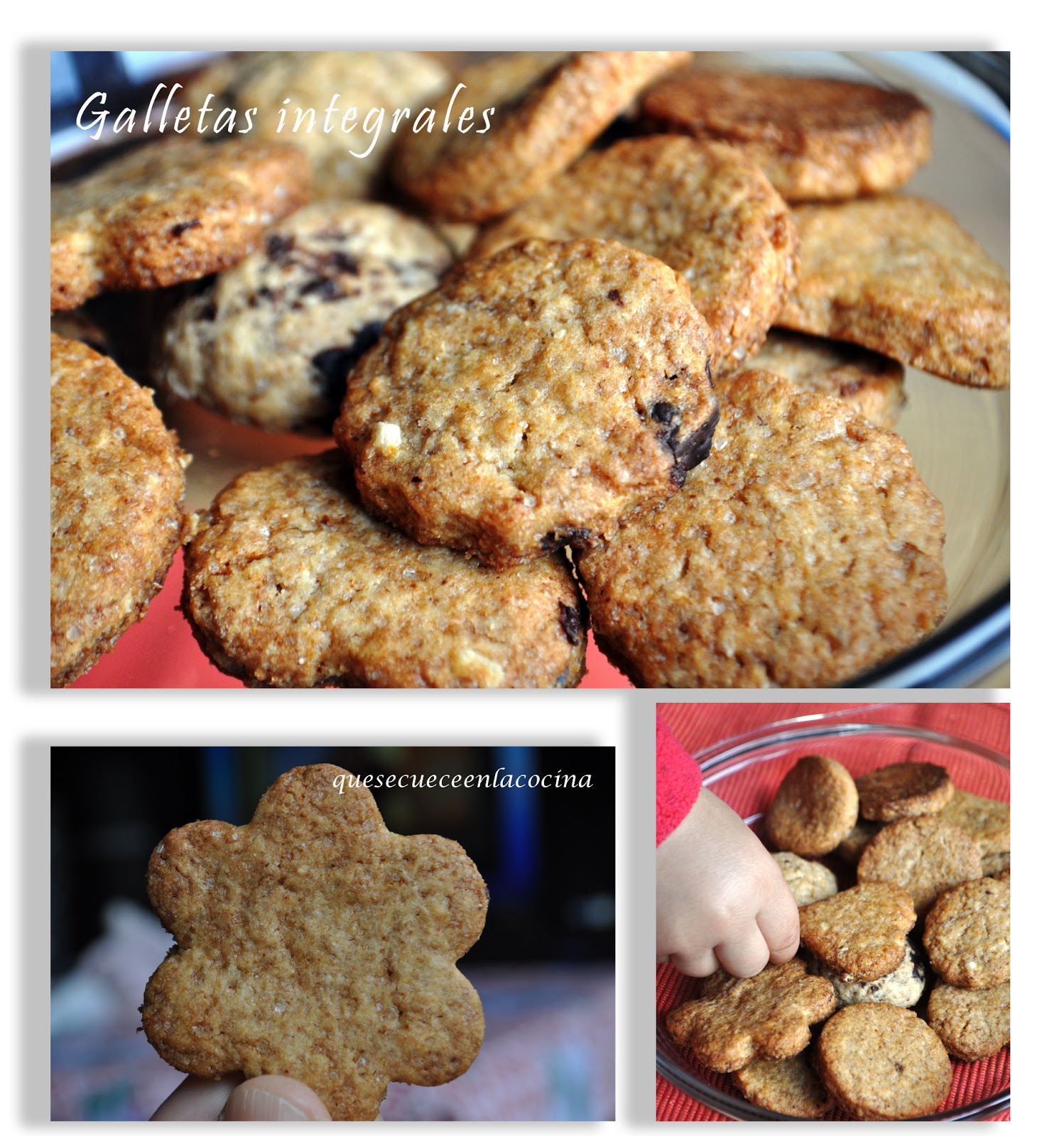 Cocina con gusto: Galletas integrales de miel