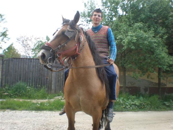 Vand cal bland si puternic