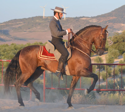 ANDALUSIANS DE CALDERON