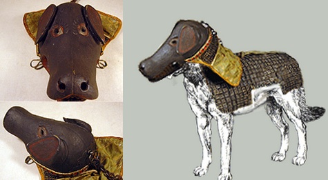 Samurai Warrior Armor for Dogs! | BOLD and UNUSUAL DOG Stories - Haus ...