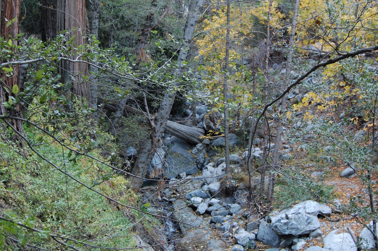 Hiking Timber Mountain | East West Hike