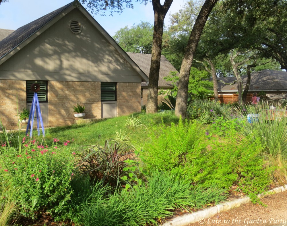 Late to the Garden Party: Digging into Pam Penick's Garden (Garden ...