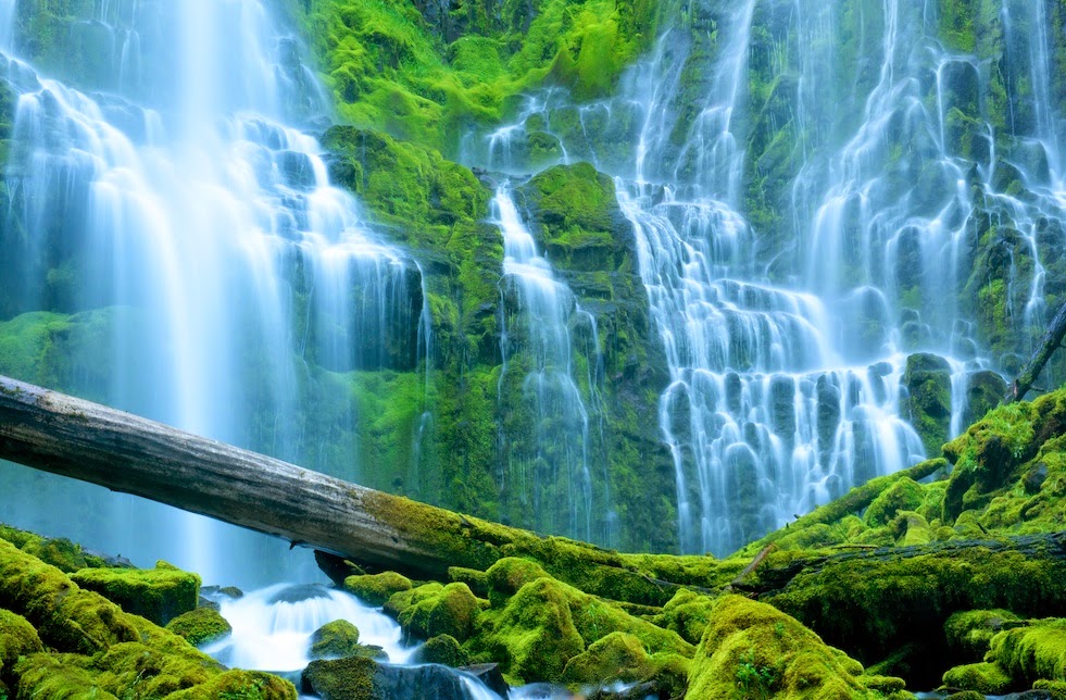 Daniel Roxin: MEMORIA APEI – Descoperirile oamenilor de știință ...