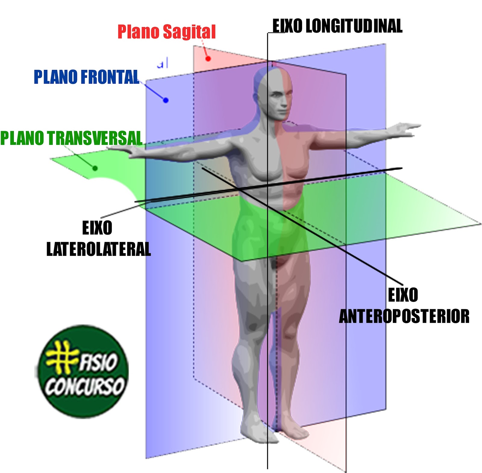 Planos E Eixos Anatomia - REVOEDUCA