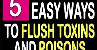 5 Simple & Easy Ways to Flush Toxins & Poisons out of your Life - WARM UP