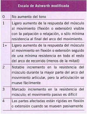 Escala De Ashworth: Qué Es Y Funciones Clave – HIQWZ