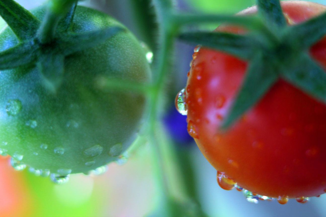 Persistence of Vision: A Bit More In Depth with Depth of Field