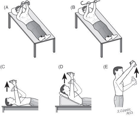 Aarom Shoulder Exercises In Supine