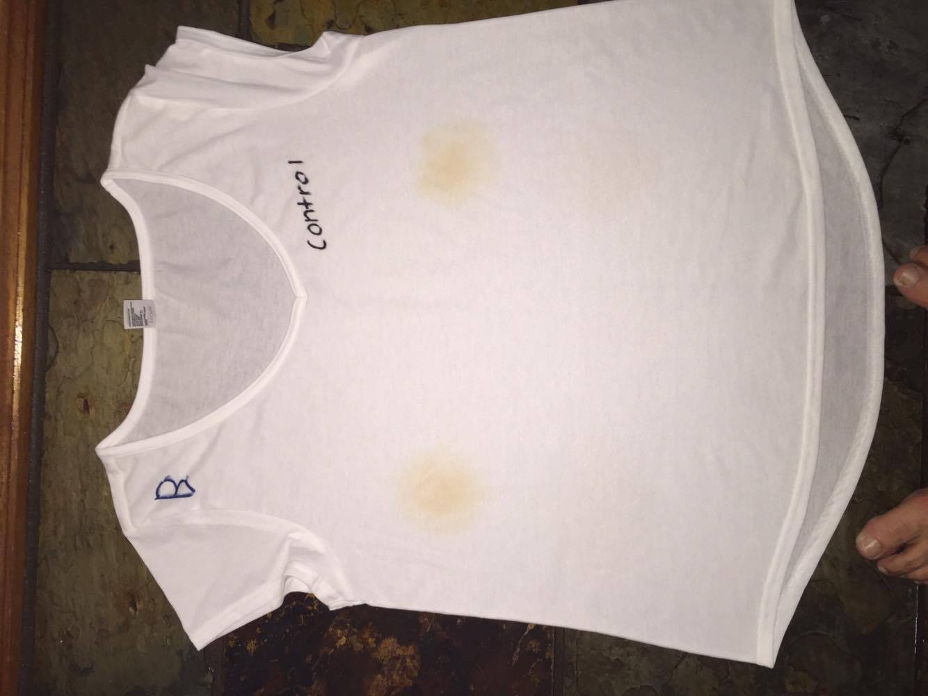 Science blog: Stain Remover Experiment