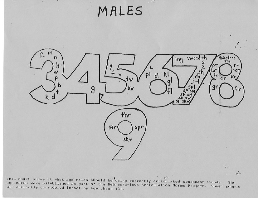 Male Speech Sound Timeline