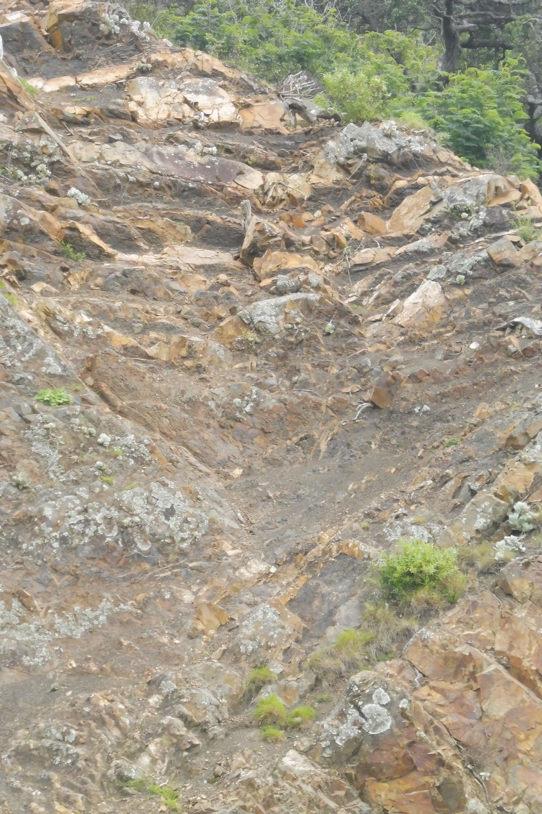 Aotearoarocks - Geology - Archaeology - History - Ecology: Whakatane, a ...