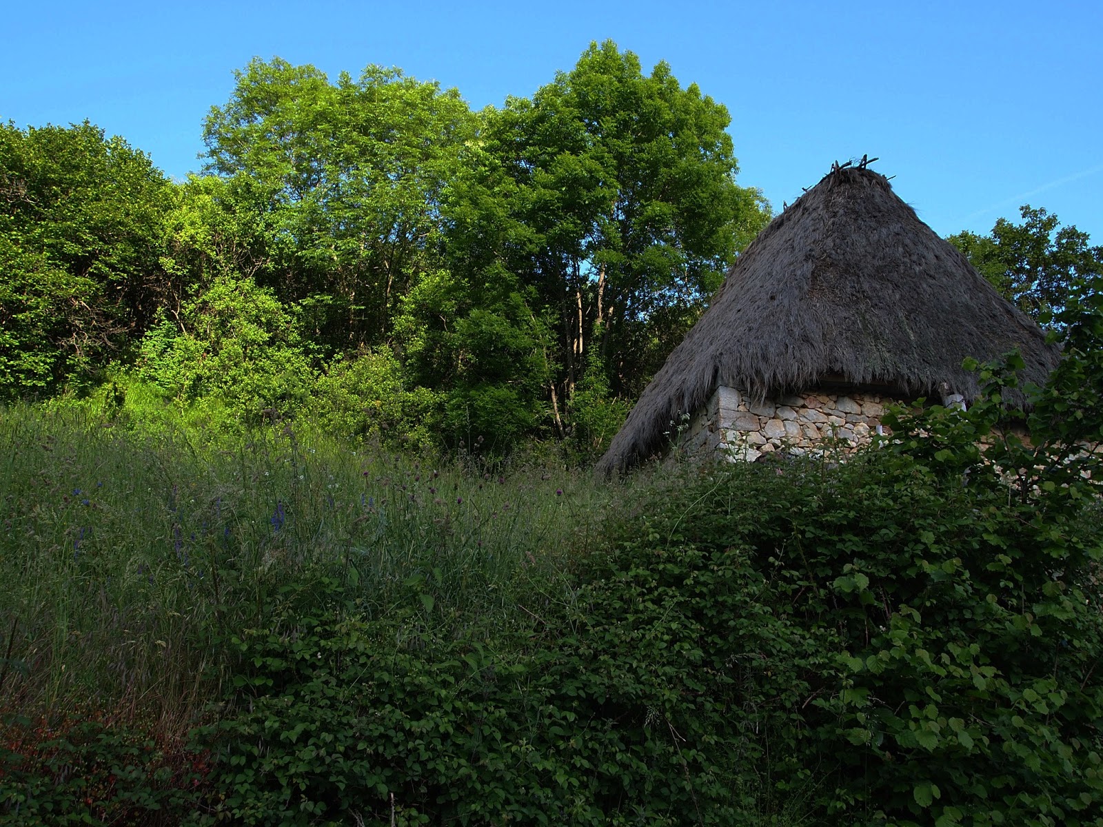 Cumbres de la Cordillera: ruta circular al monte la enramada, somiedo