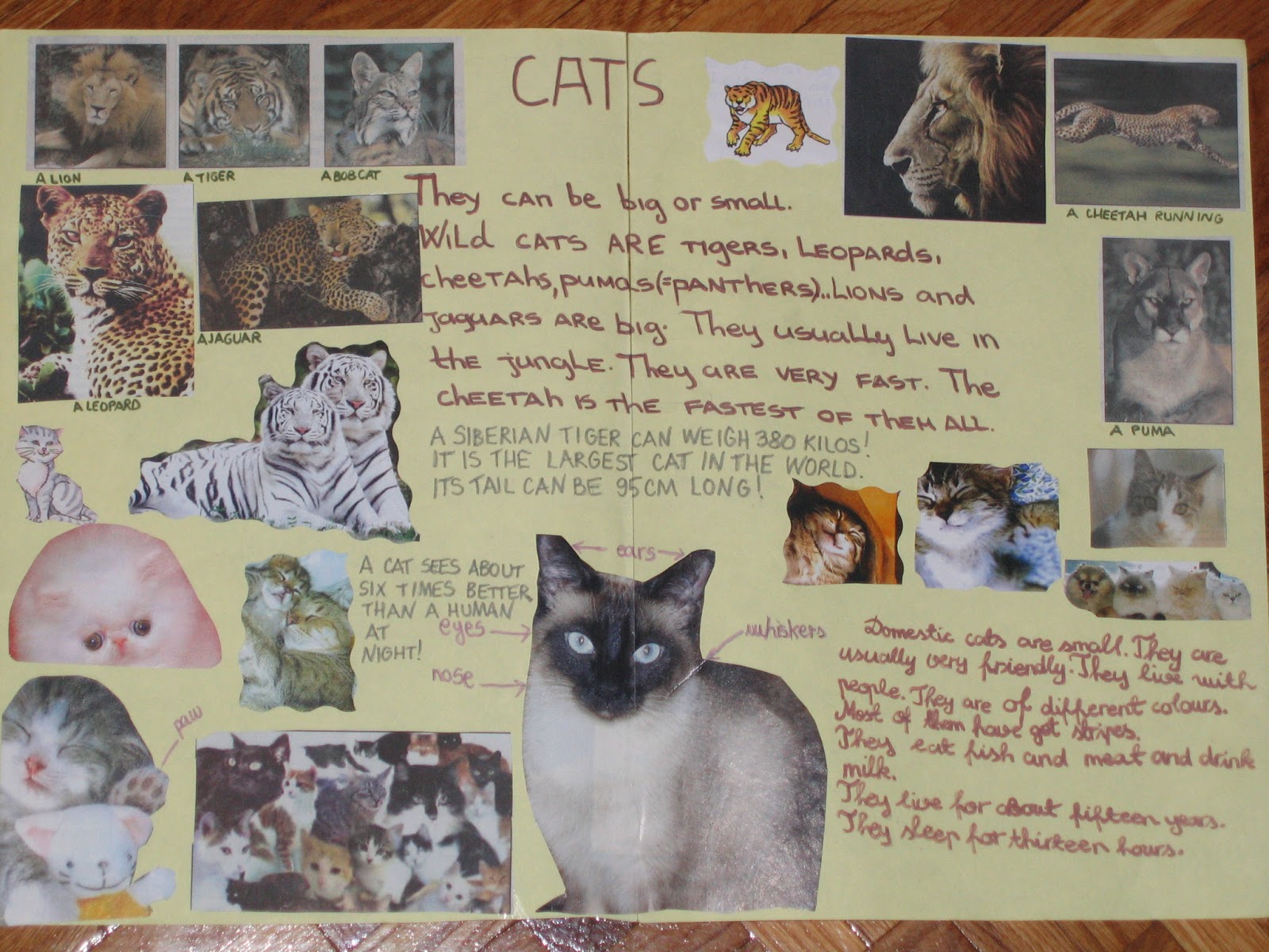 Classroom number 4: 12/2007