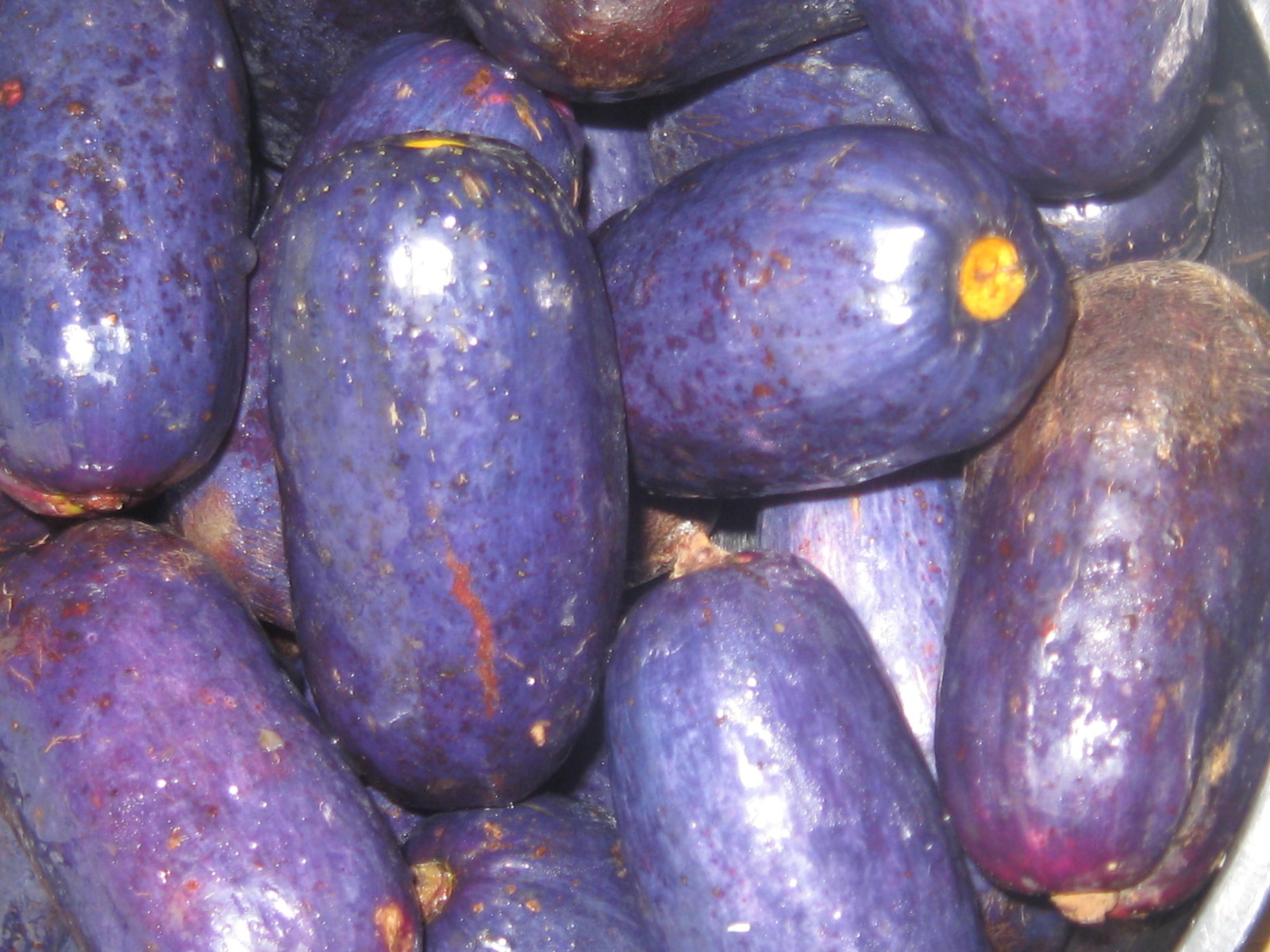 Most Beautiful Countries In The World: Safou/ Ube/ African plum ...