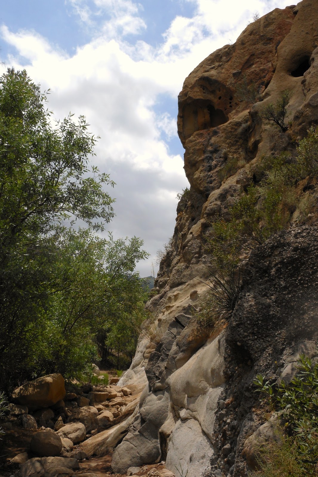 1000 Hikes in 1000 Days: Day 558: Ed Davis Park in Towsley Canyon ...