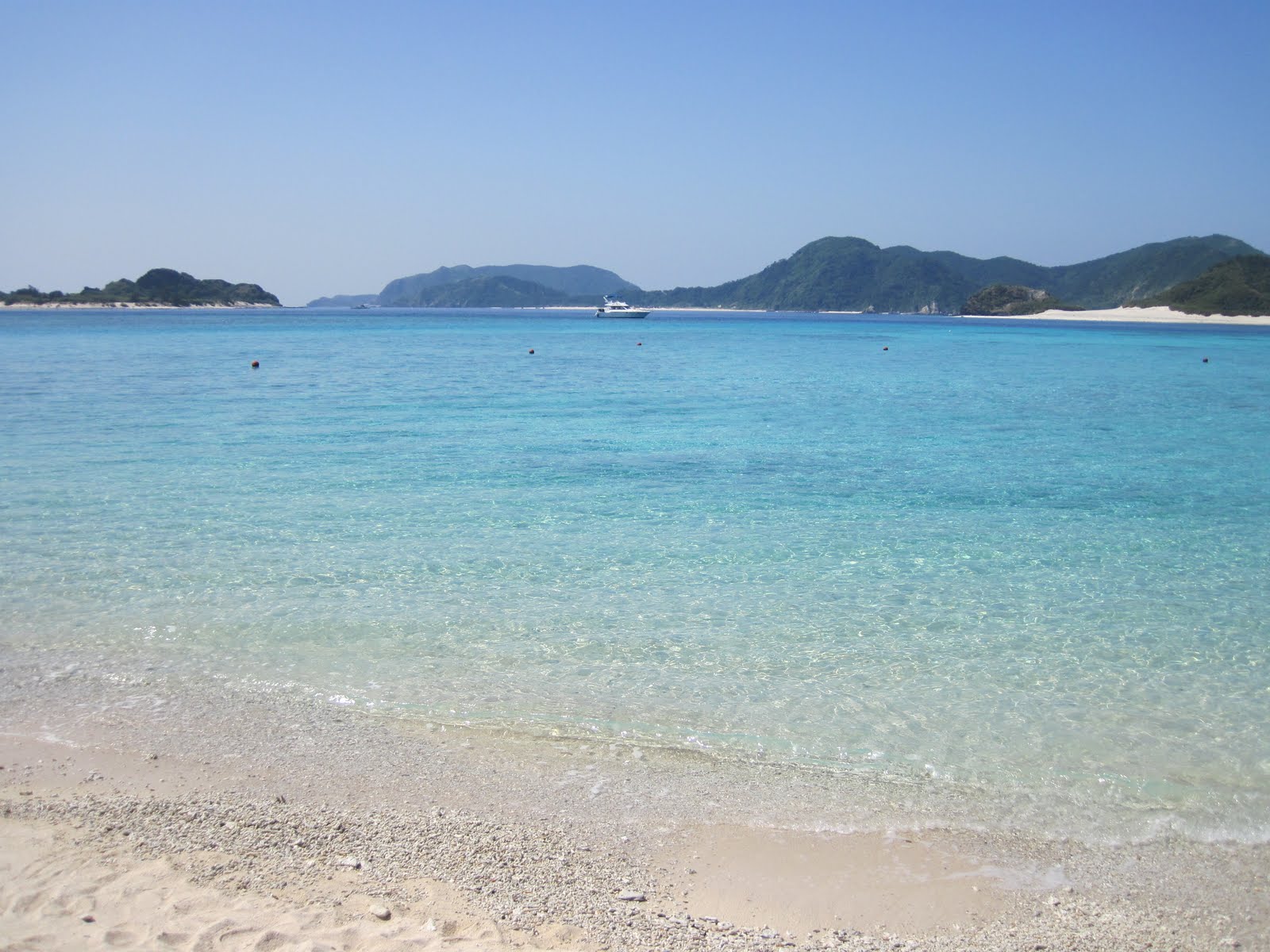 Adventurous adventures: Okinawa Adventures - Day 3 Sea Turtles at Ama Beach