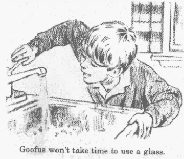 All for the Best: The Goofus and Gallant of Schools