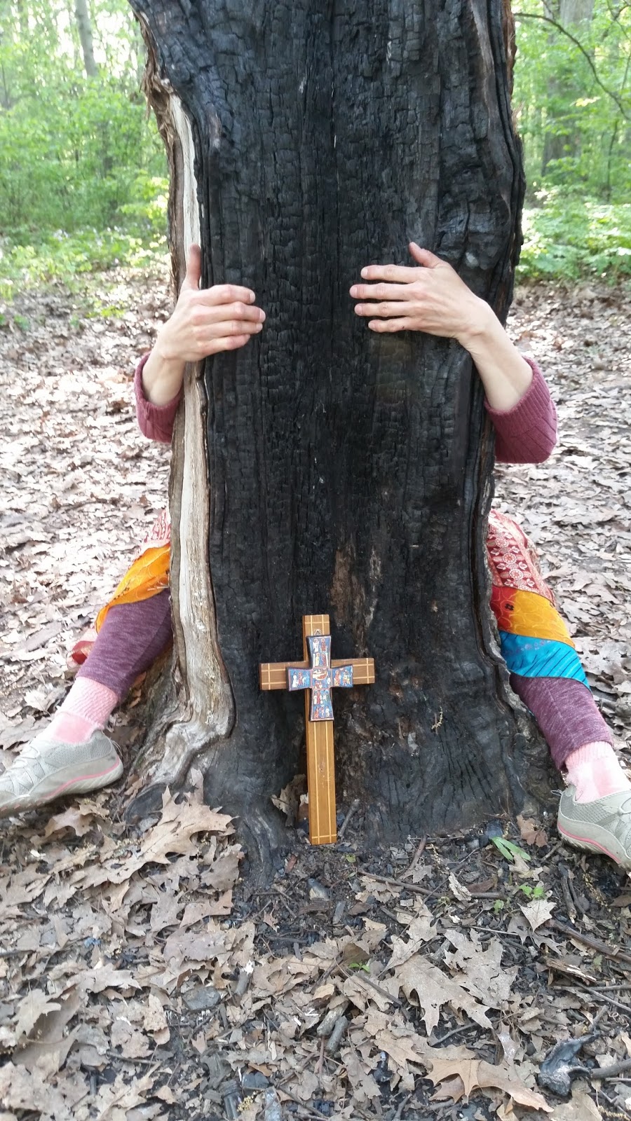 Bridget Mary's Blog: Trinity of Trees Liturgy Heart of Compassion ...