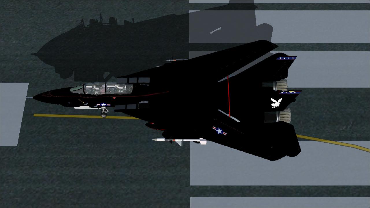.:FS PRO BRASIL SERVER:.: FS2004 - Grumman F-14D Tomcat Rev 4