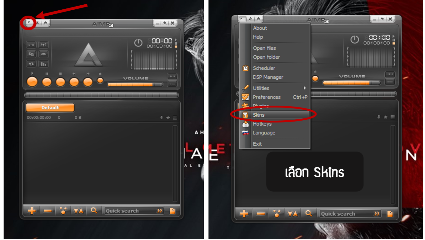 Maew Program: Skins AIMP