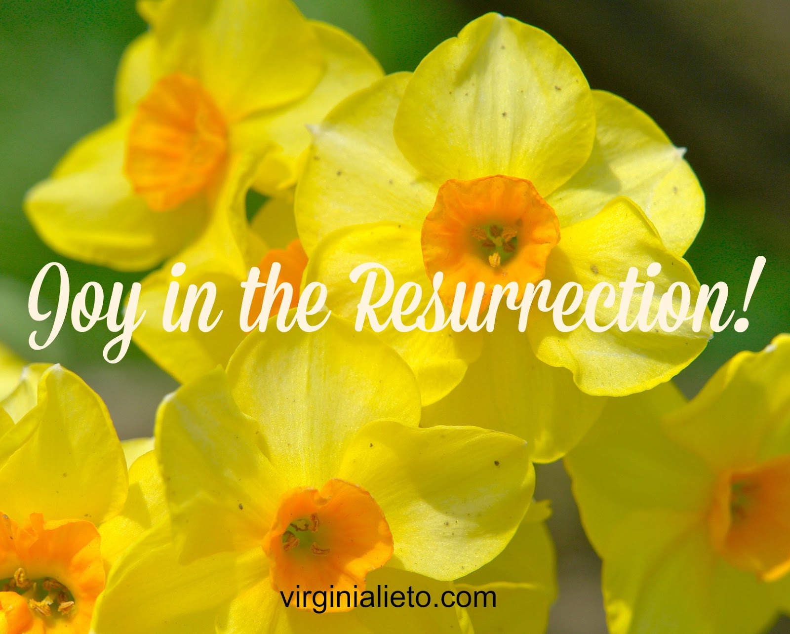 Joy in the Resurrection