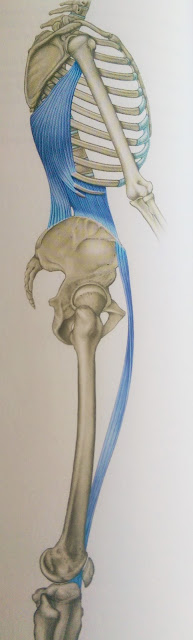 Balance: 9. The Functional Lines