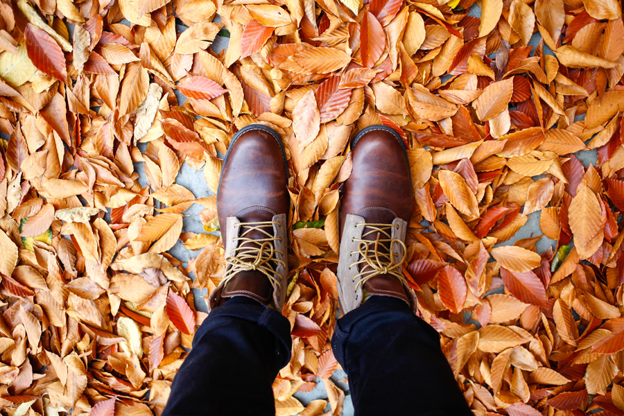 Prestigious Fall — LEVITATE STYLE