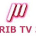 IRIB 3 (Iranian TV Channel 3) ~ Live Online Television Channel