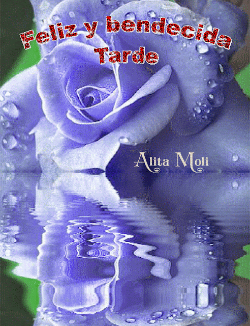 Brotes de Amor: Feliz y bendecida Tarde