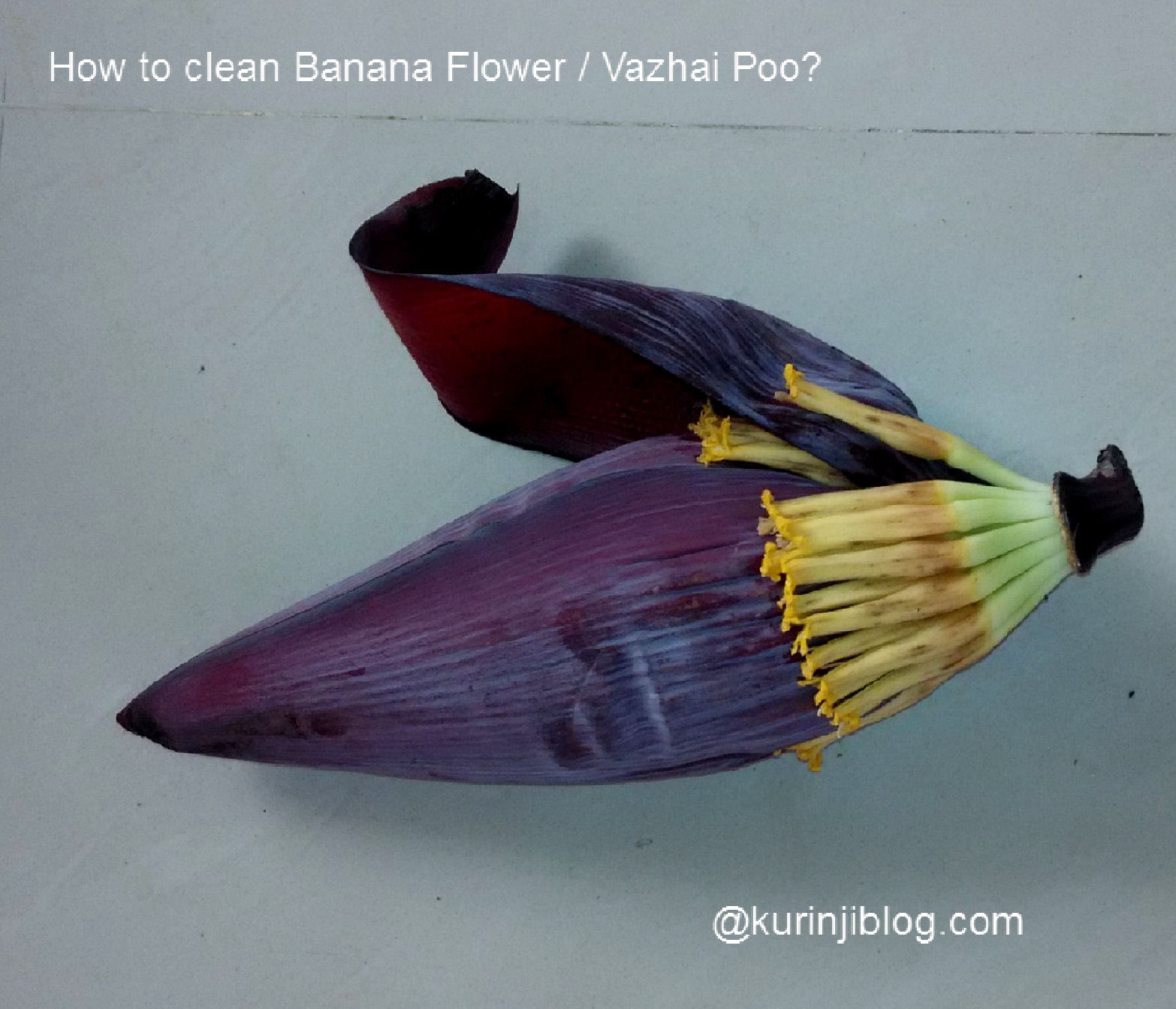 How to clean Banana Flower / Vazhai Poo ? ~ Kurinji Kathambam