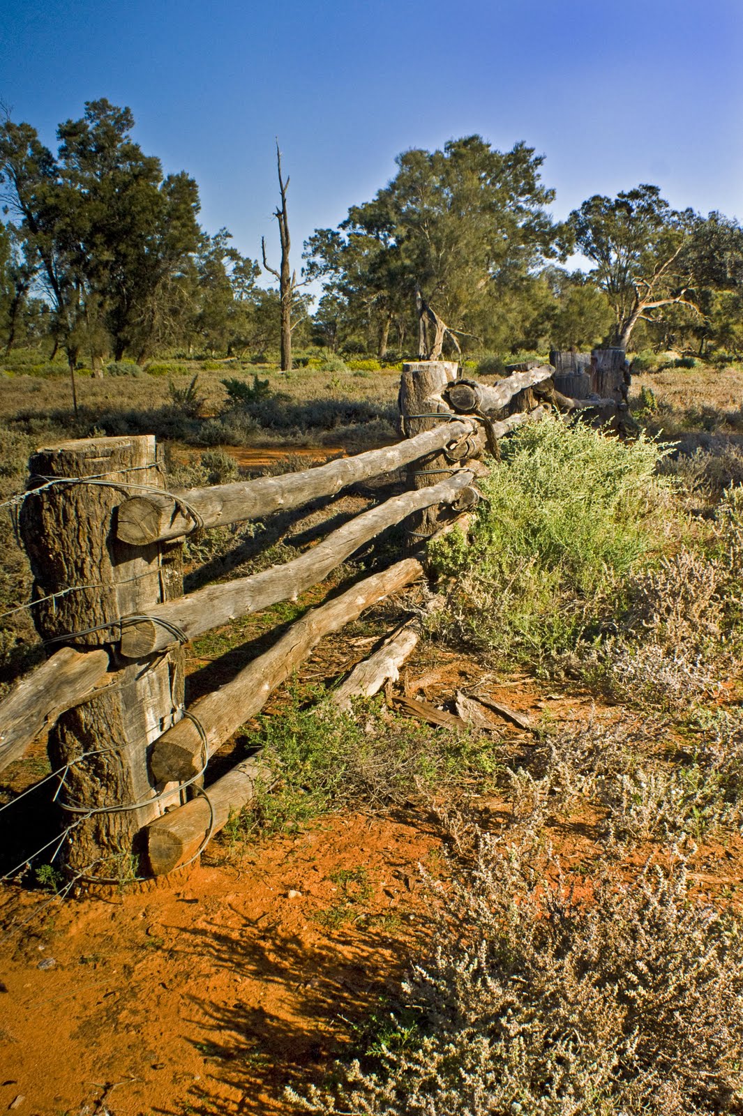 BigRedBusTouringCo.com: Moorook to Perry Sand Dunes