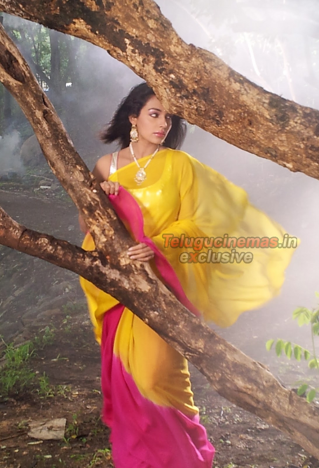 Flora Saini Stills in Akasamlo Sagam - Telugu Actress - TeluguCinemas ...