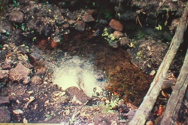 Shri Chennabasavanna Temple Sirsi Attractions