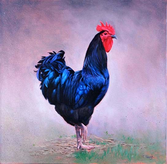 Tim Hough Art: Paintings